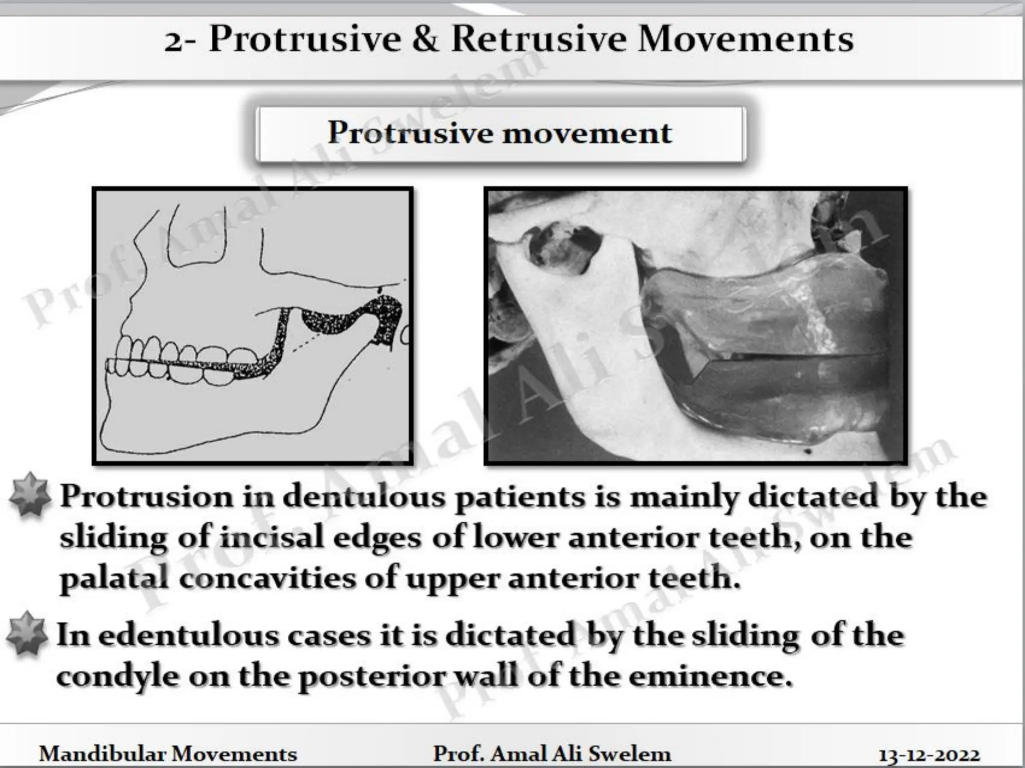 Mandibular Movements Handouts- Prof. Amal Ali Swelem.pdf