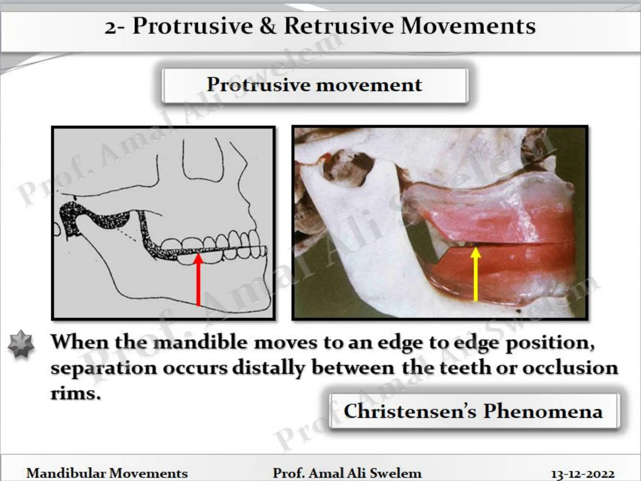 Mandibular Movements Handouts- Prof. Amal Ali Swelem.pdf