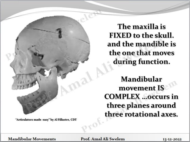 Mandibular Movements Handouts- Prof. Amal Ali Swelem.pdf
