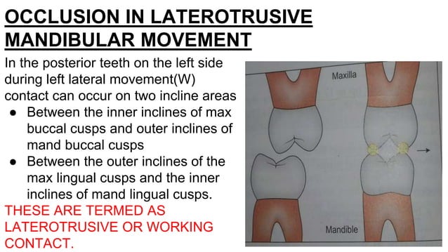 Mandibular movements in rpd | PPTX