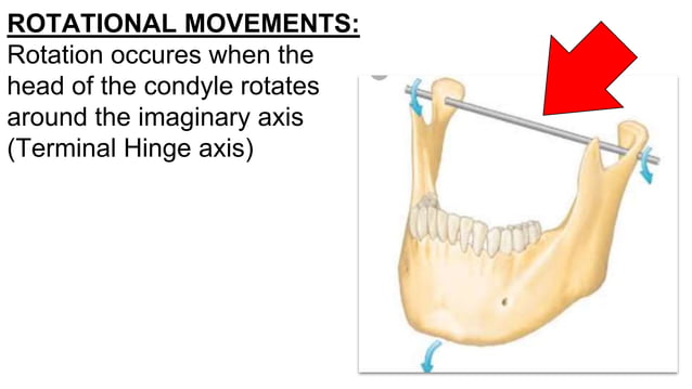Mandibular movements in rpd | PPTX