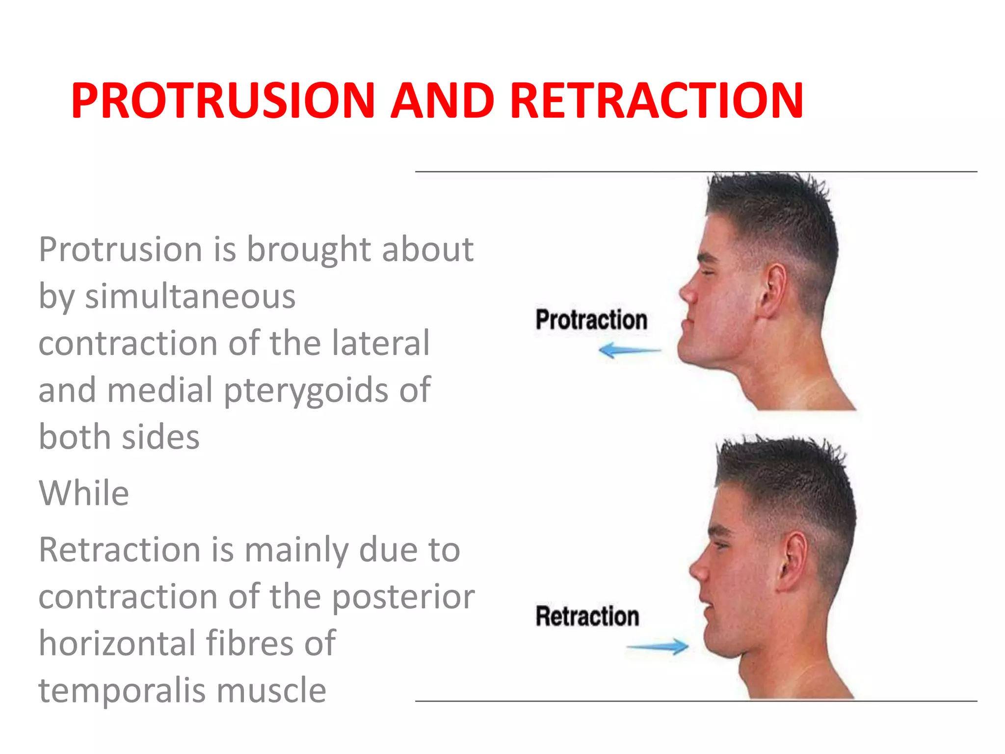 Mandibular Movements | PPTX