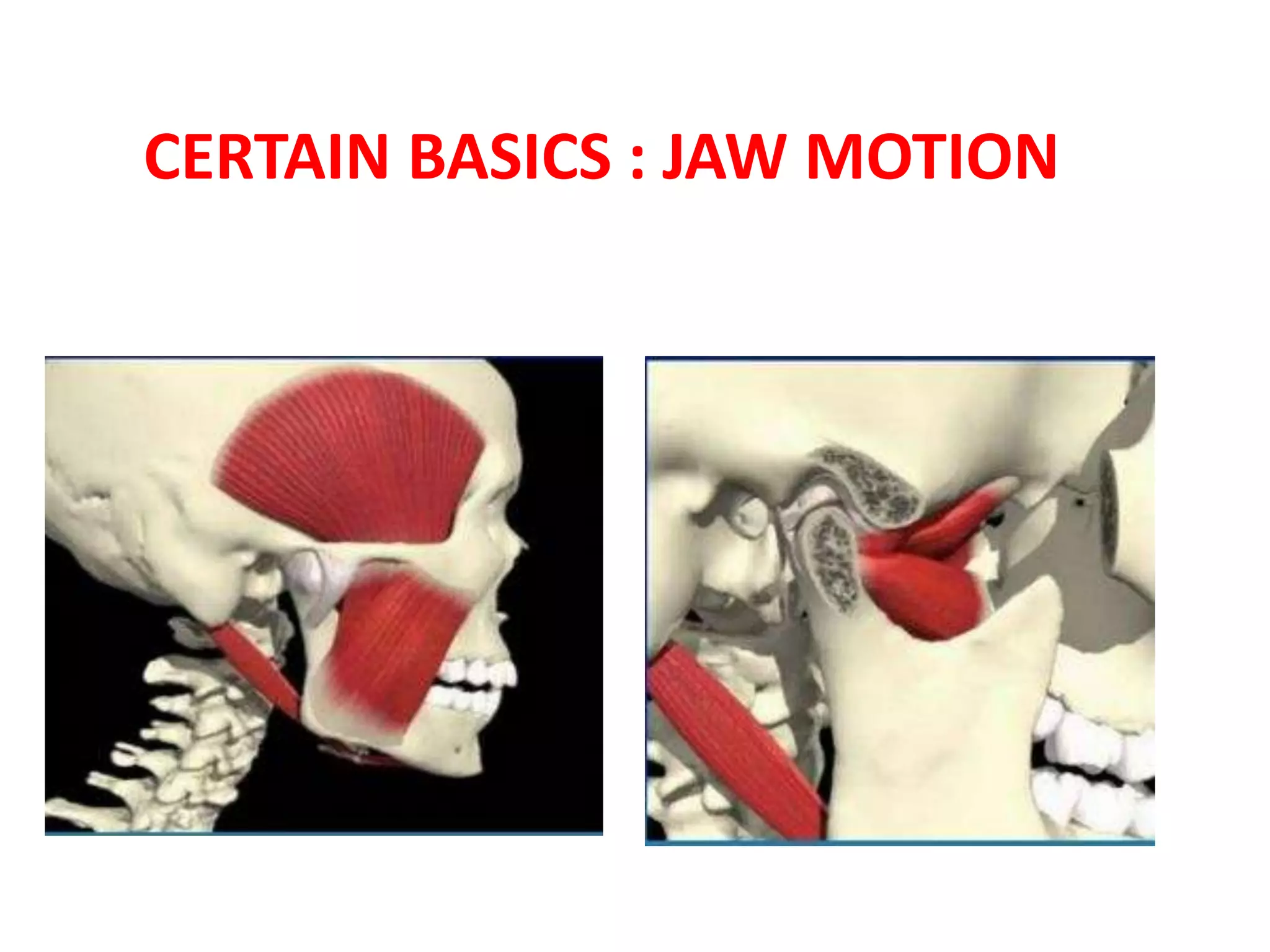Mandibular Movements | PPTX