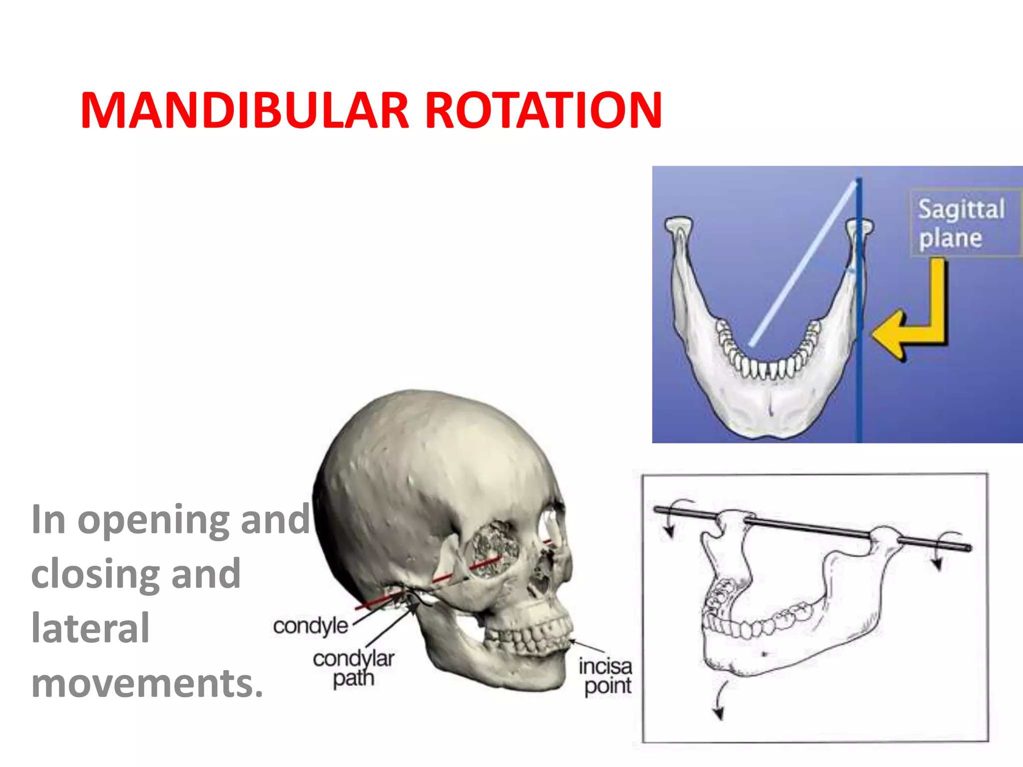 Mandibular Movements | PPTX
