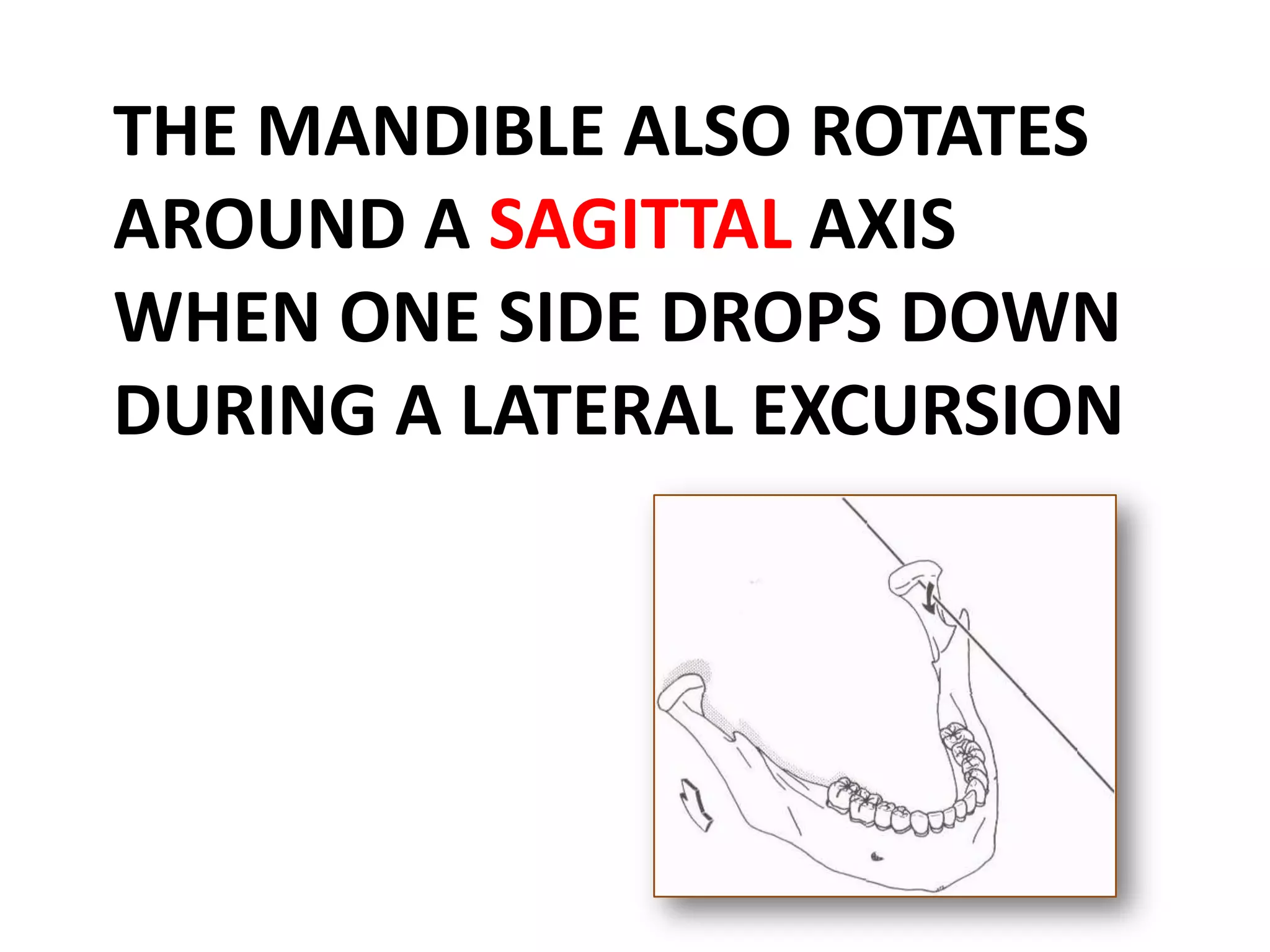Mandibular Movements | PPTX