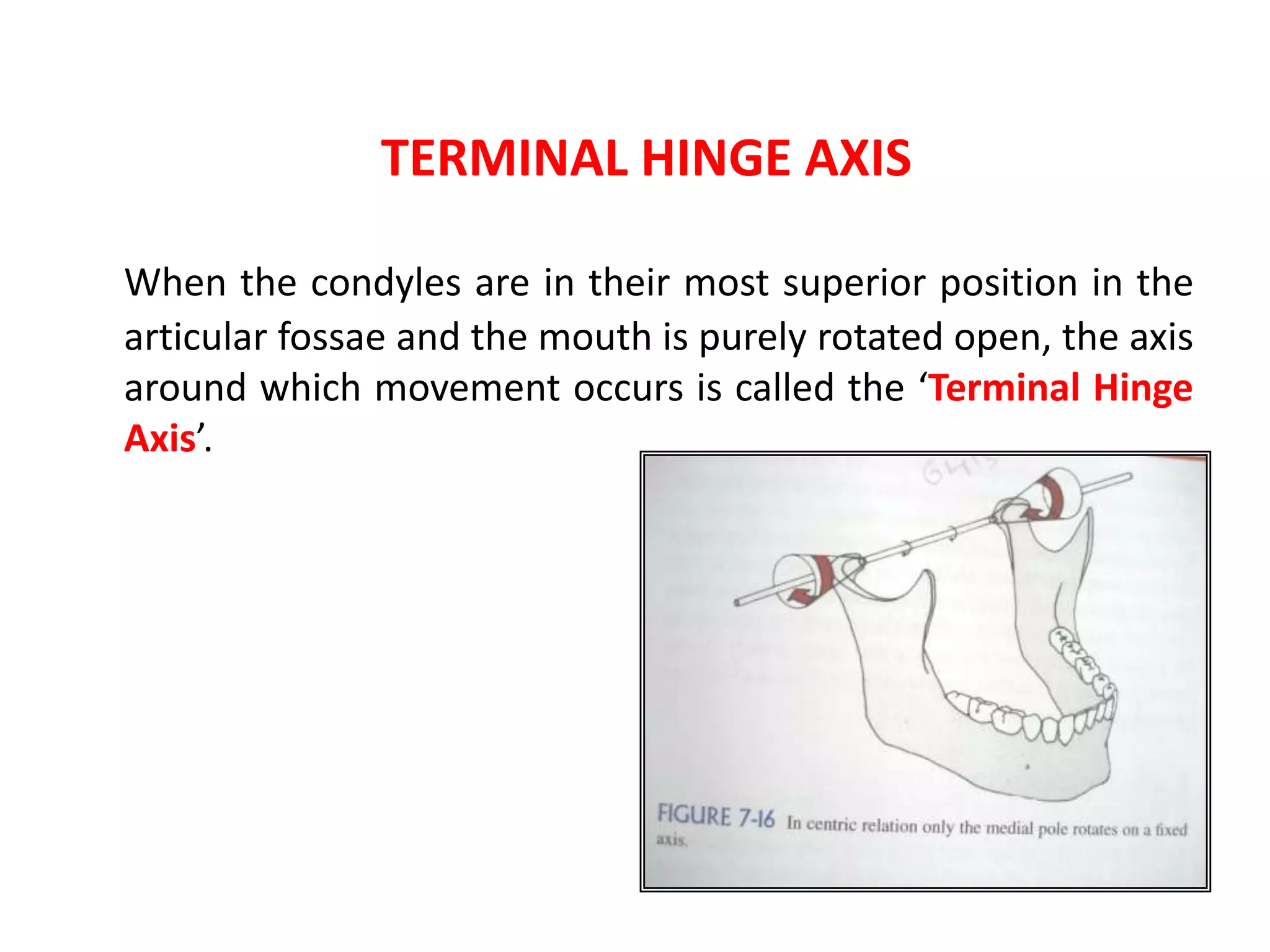 Mandibular Movements | PPTX