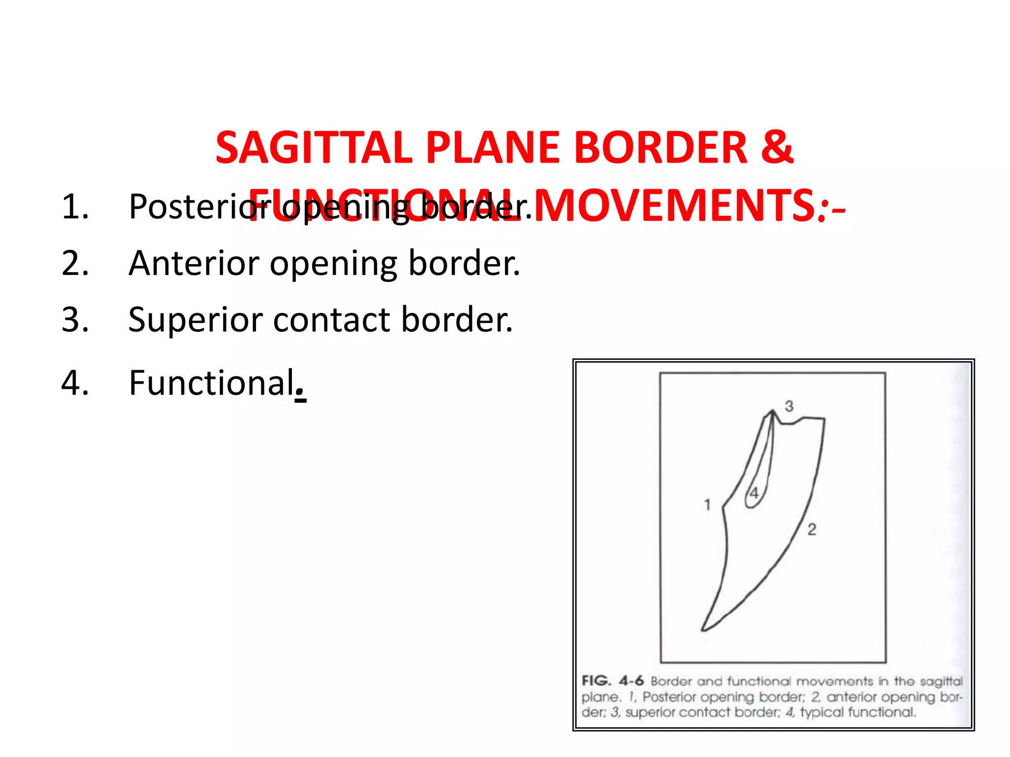 Mandibular Movements | PPTX