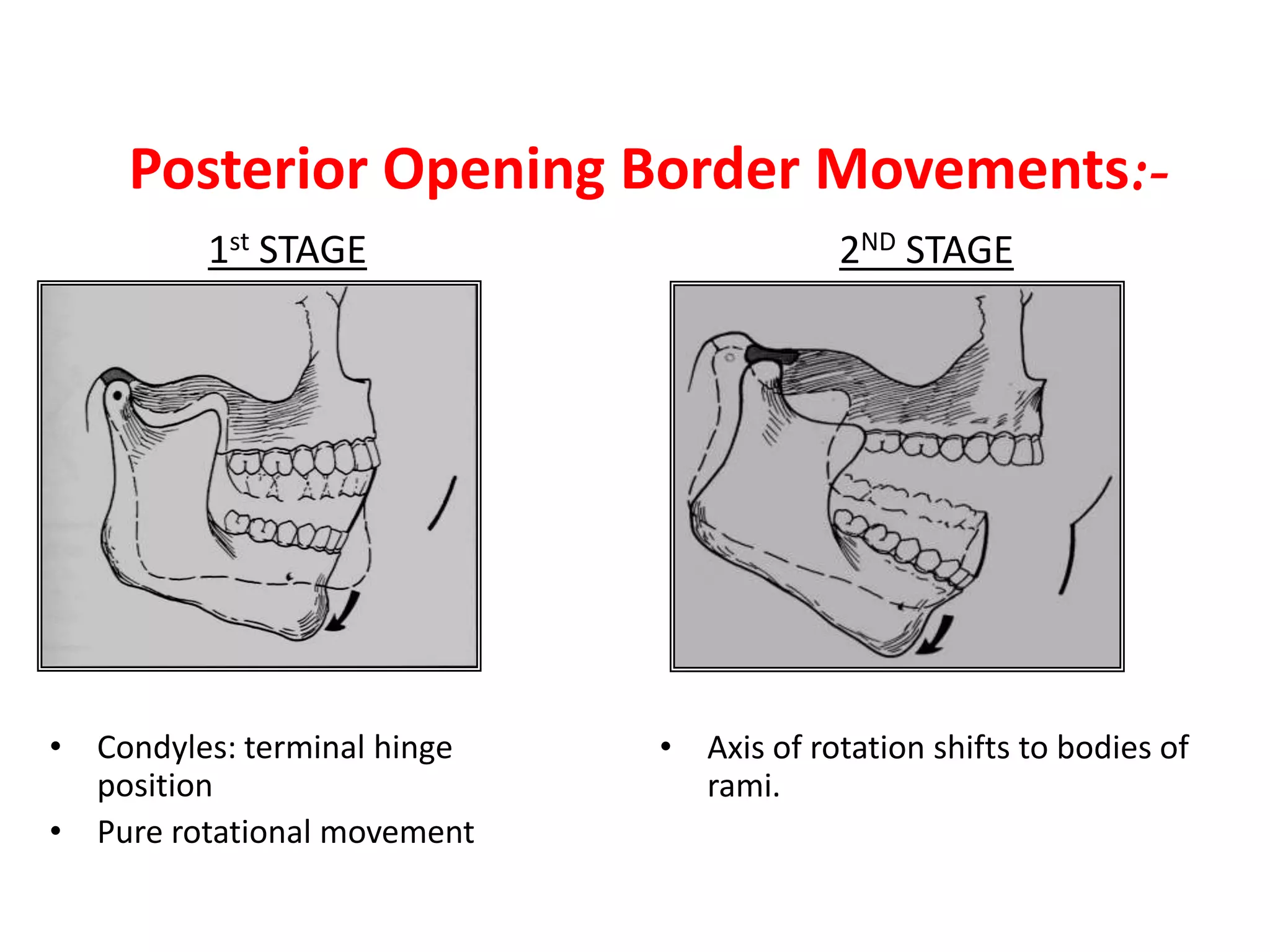 Mandibular Movements | PPTX