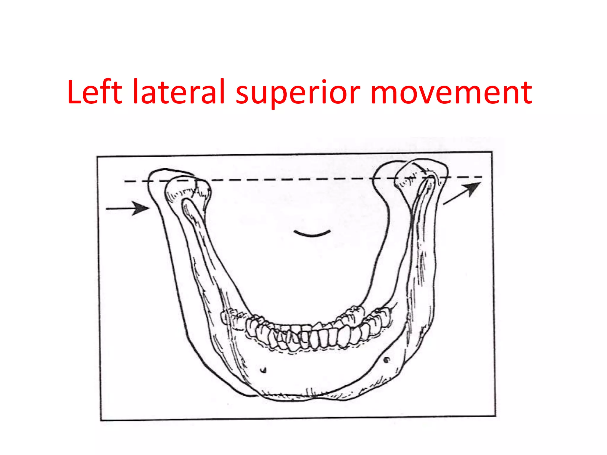 Mandibular Movements | PPTX