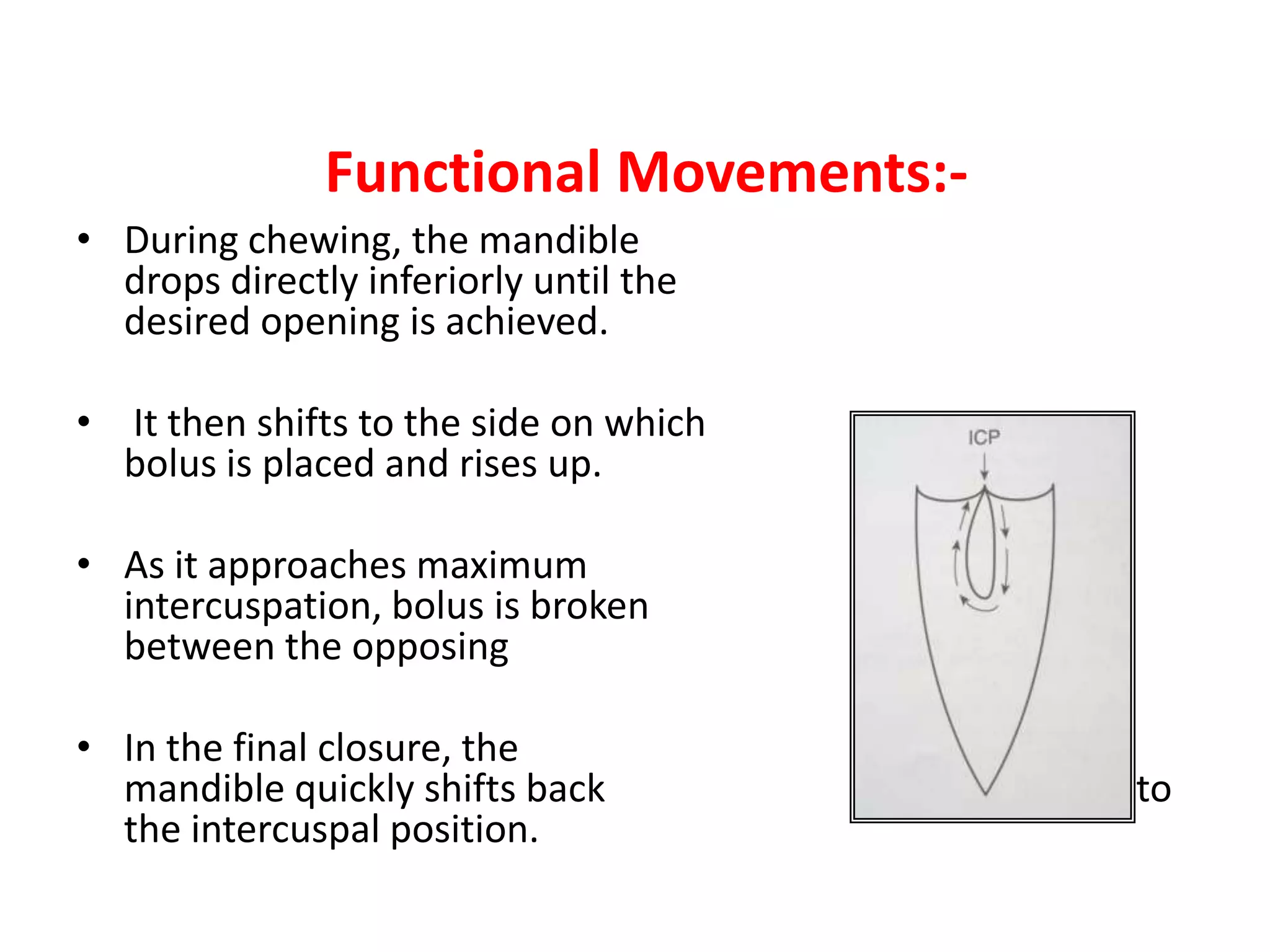 Mandibular Movements | PPTX