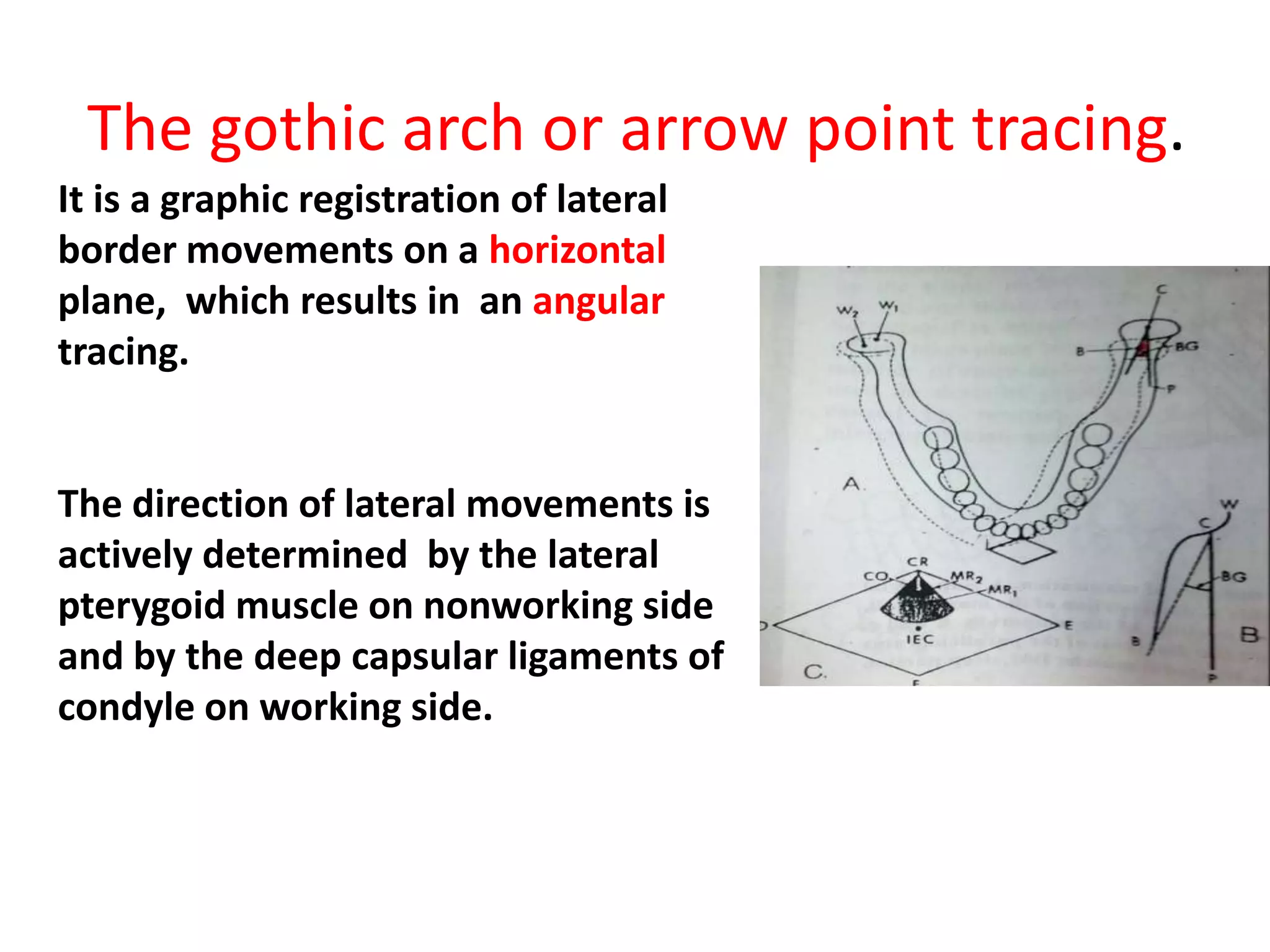 Mandibular Movements | PPTX