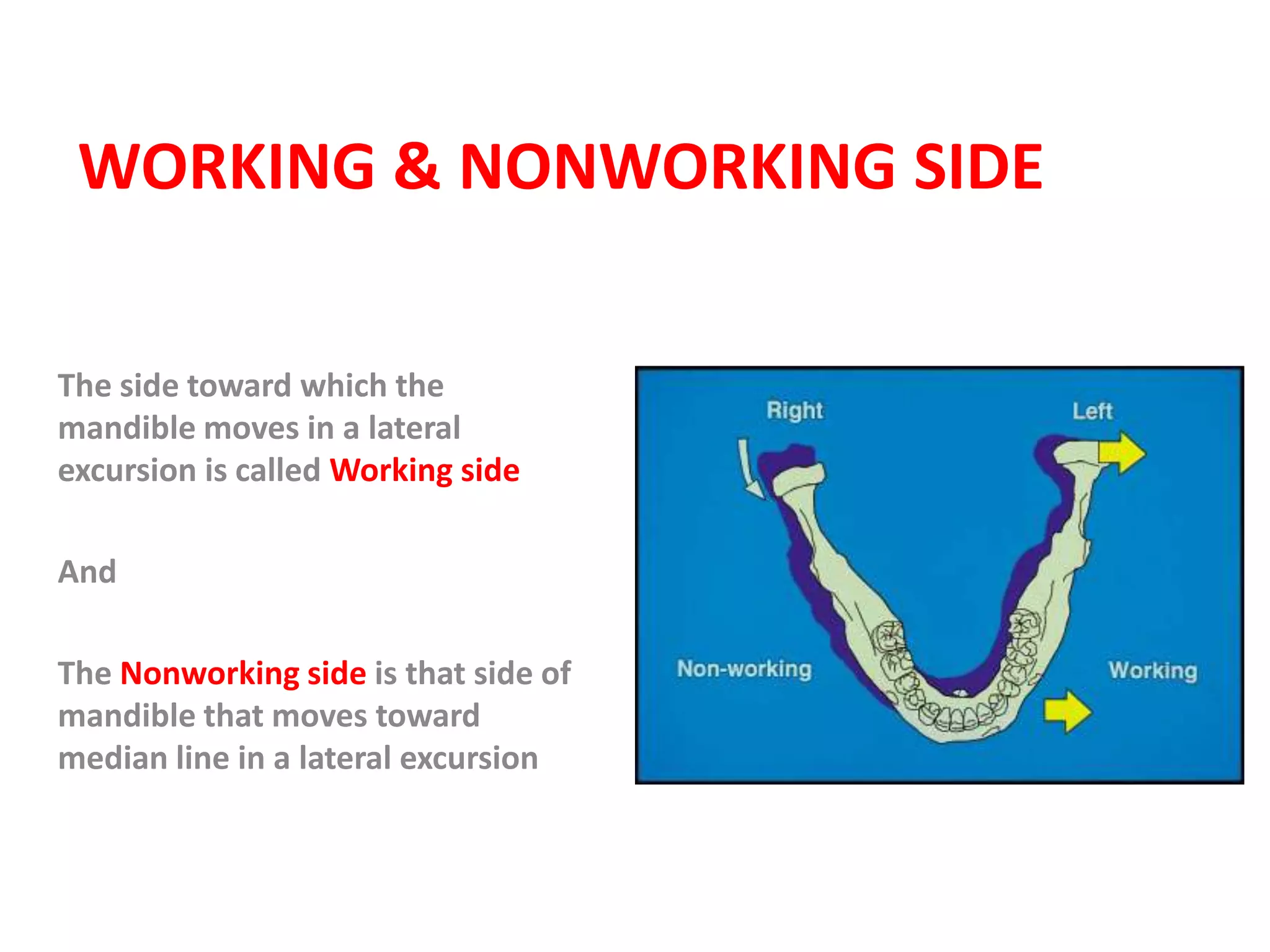 Mandibular Movements | PPTX