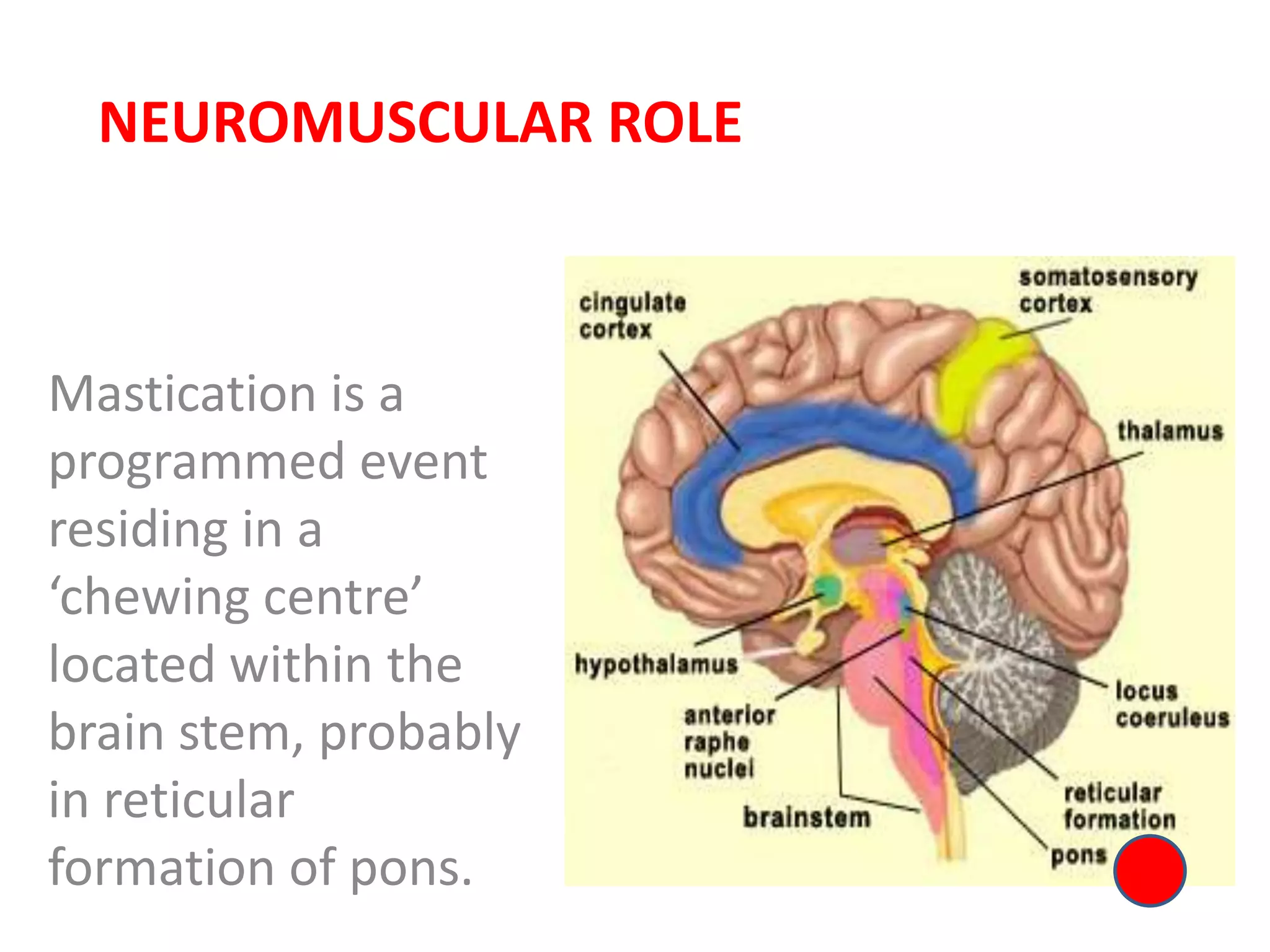 Mandibular Movements | PPTX