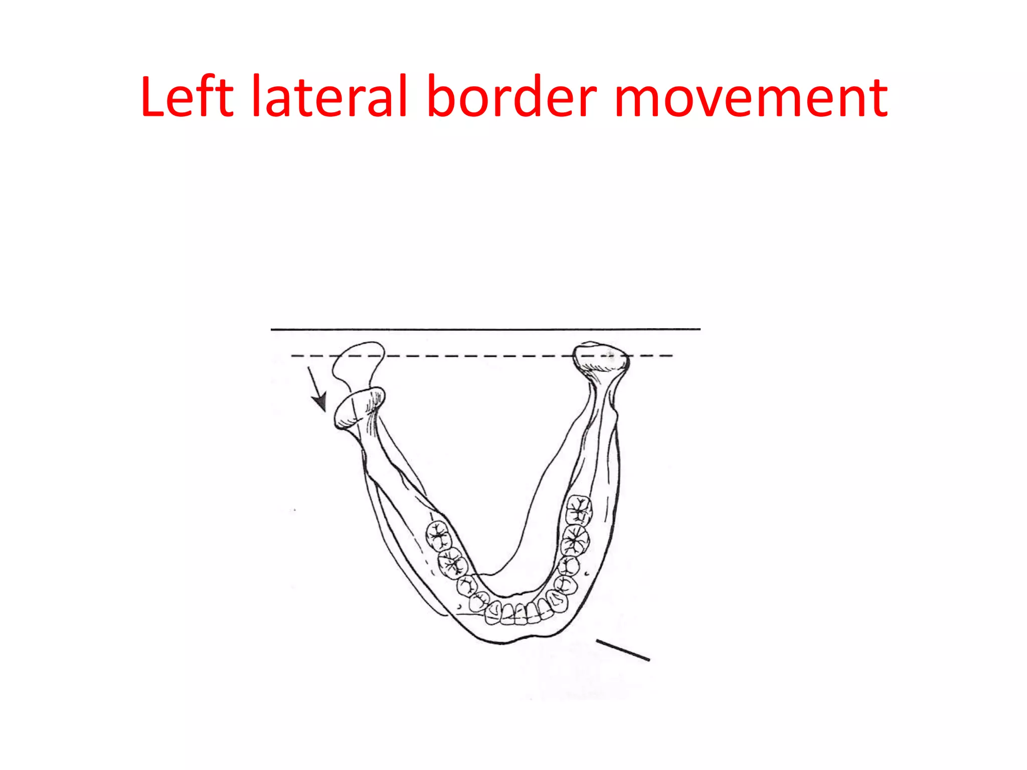 Mandibular Movements | PPTX