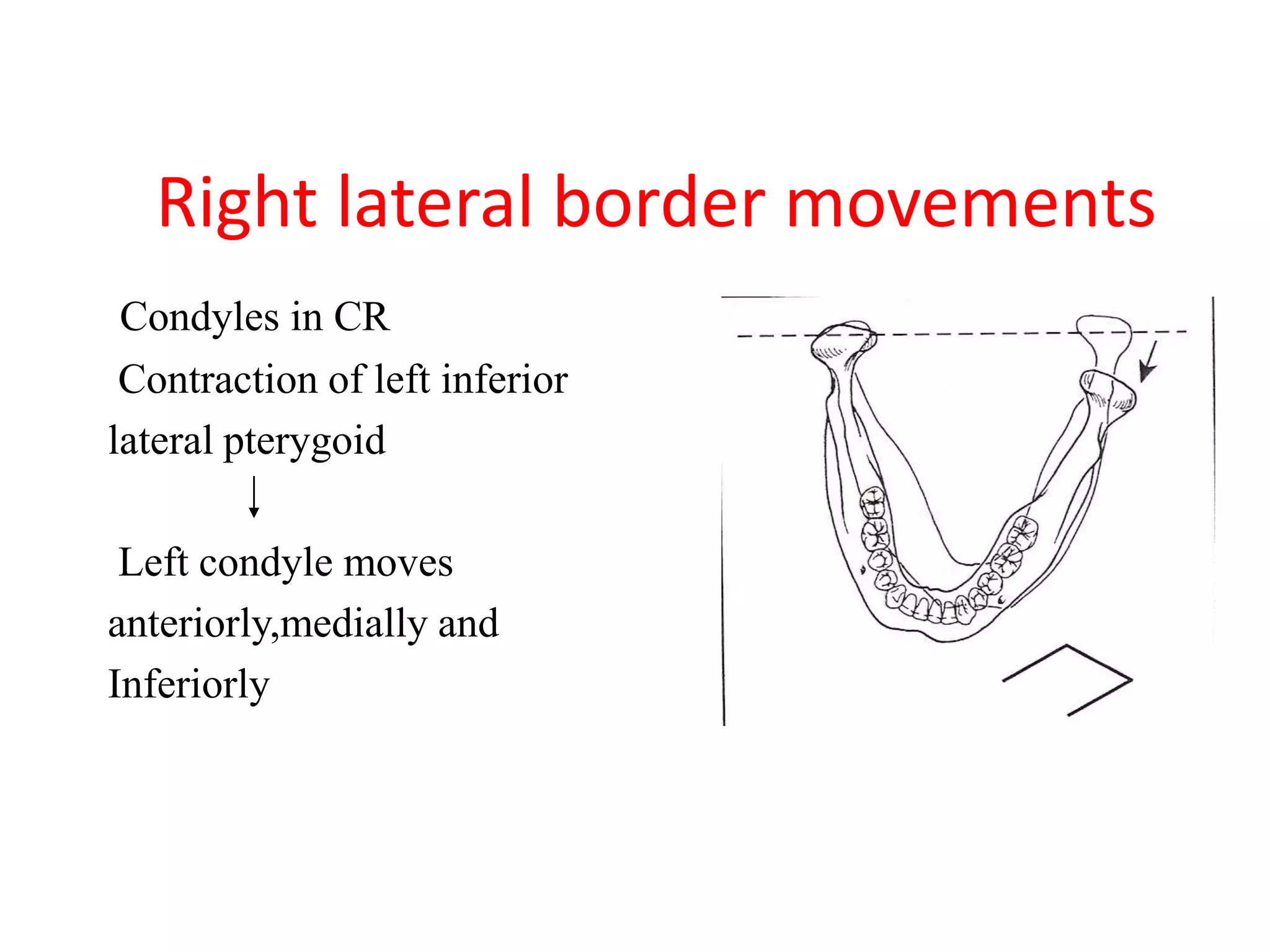 Mandibular Movements | PPTX