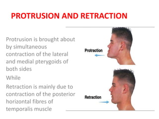 Mandibular Movements | PPT