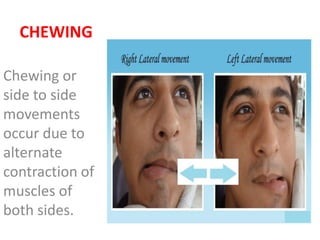 Mandibular Movements | PPT