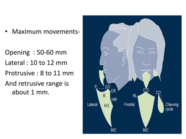 Mandibular Movements