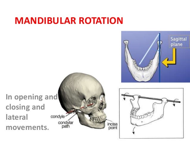 Mandibular Movements