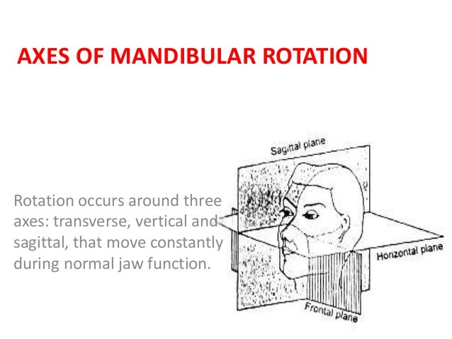 Mandibular Movements
