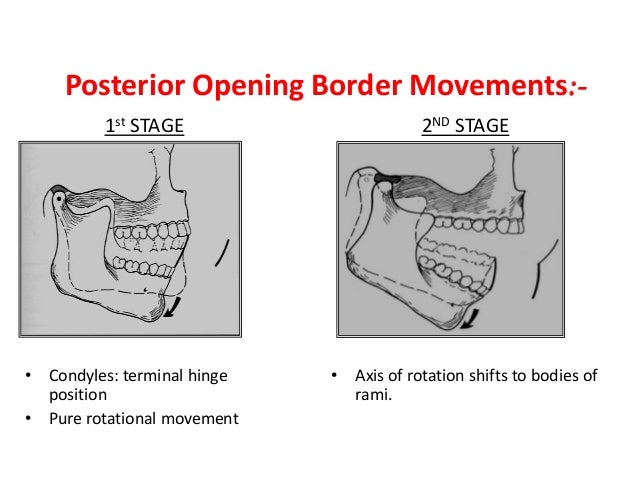 Mandibular Movements