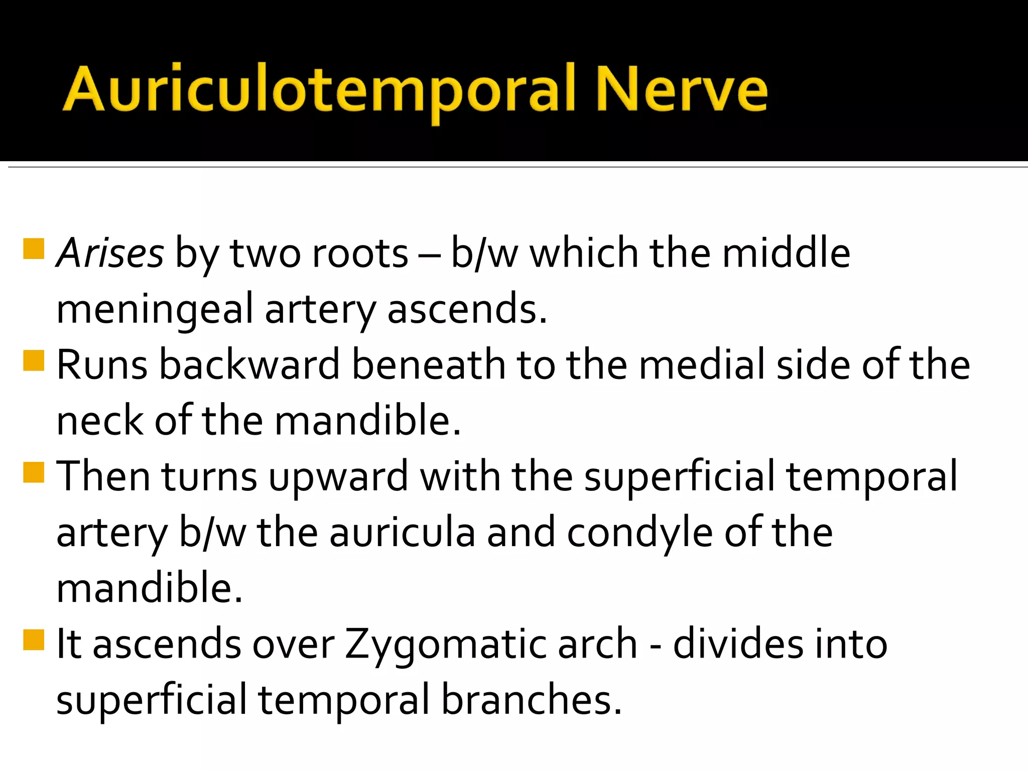 Mandibular nerve dental surgery | PPT