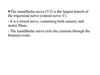 MANDIBULAR NERVE AND ITS BRANCHES Anatomy | PDF