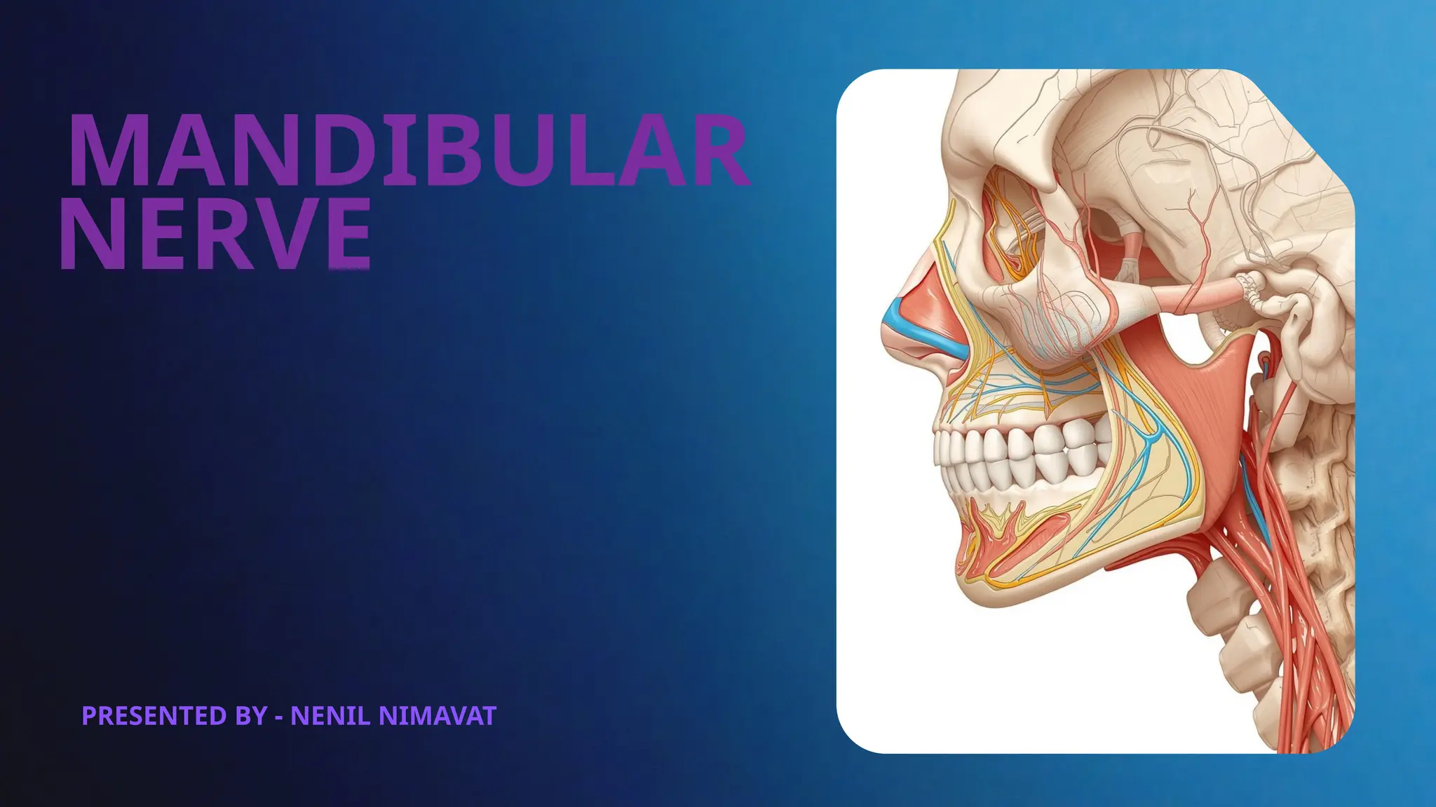 MANDIBULAR NERVE anatomy course AND RELATION | PPTX