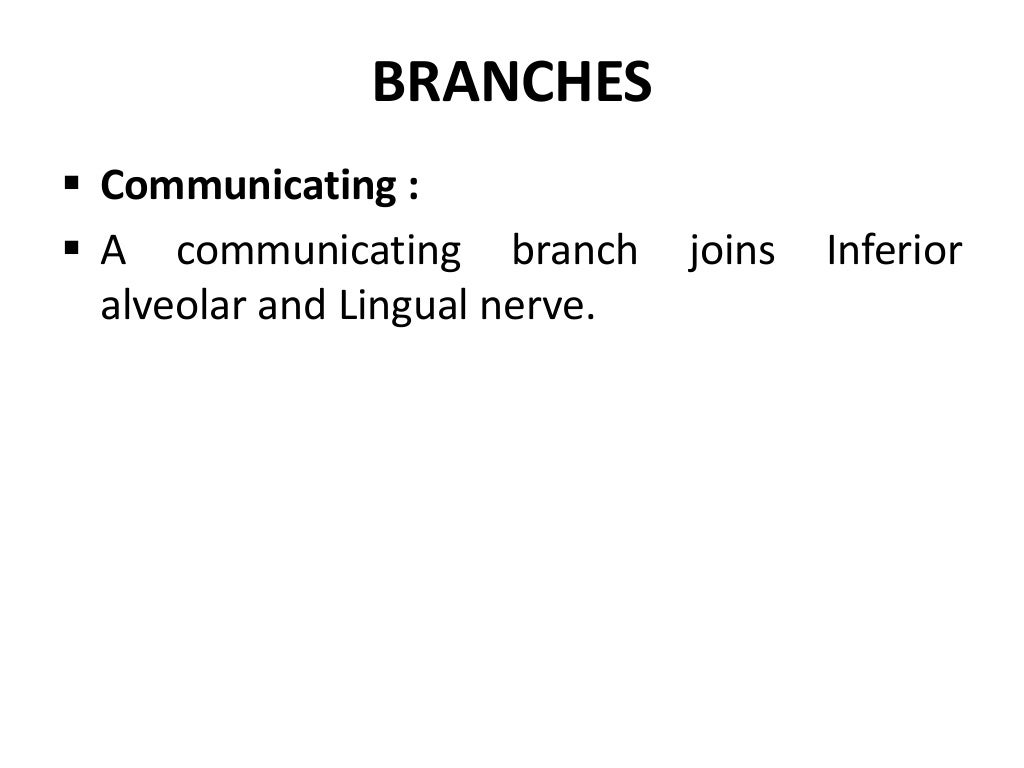 Mandibular nerve and Otic ganglion.pptx