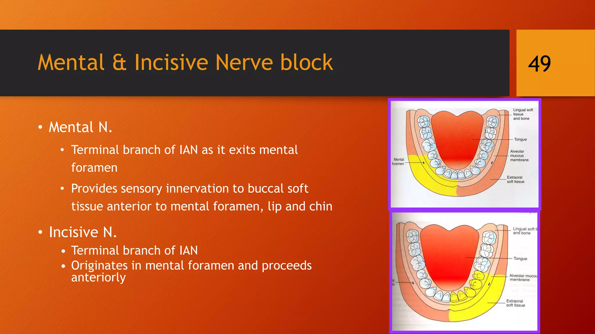 Mandibular nerve blocks | PPTX