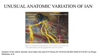 MANDIBULAR NERVE BLOCKS and techniques in dentistry | PPTX