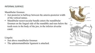Mandibular osteotomies.pptx