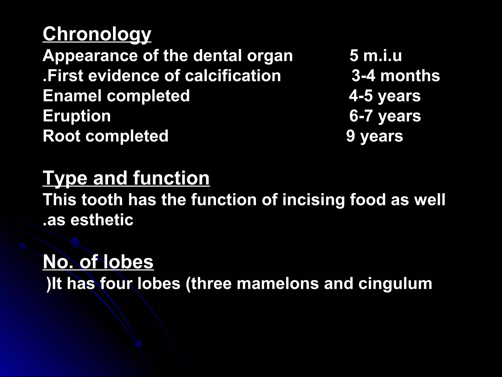 Mandibular permanent incisors | PPT