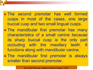 MANDIBULAR PREMOLARS-dentistry undergraduate | PDF