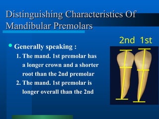 MAndibular prddddddddddddddddemolars.ppt