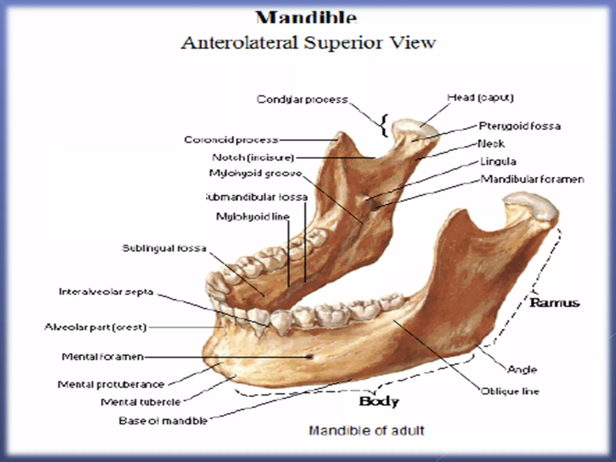 Mandibular reconstruction | PPT
