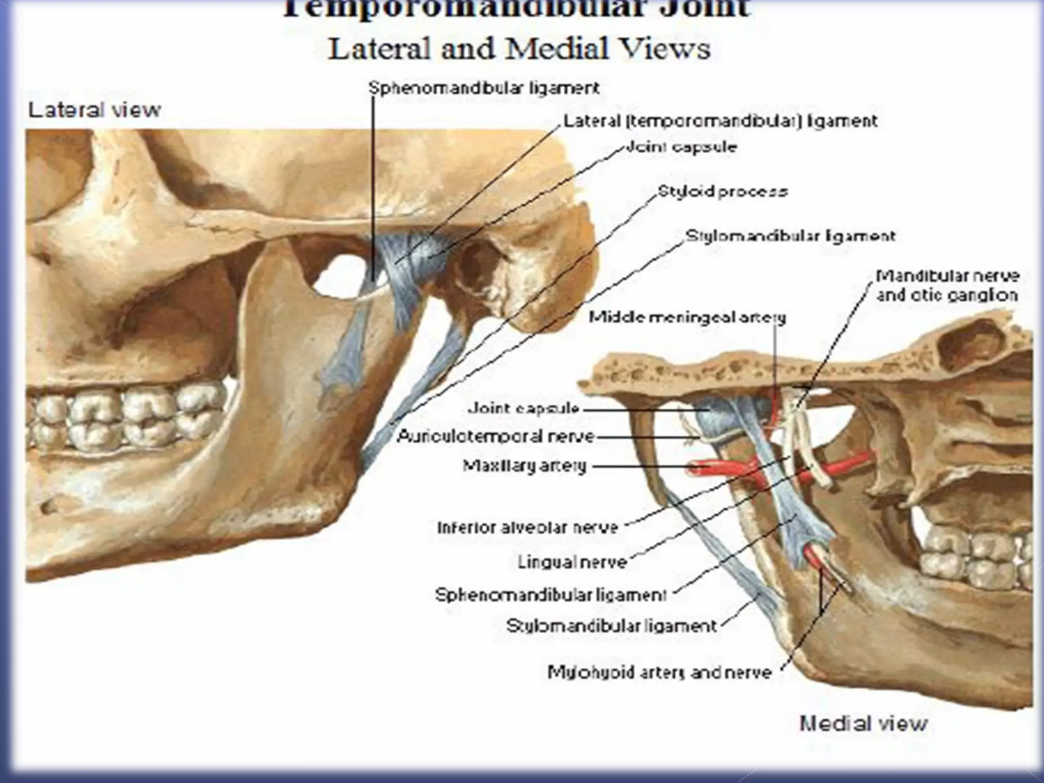 Mandibular reconstruction | PPT