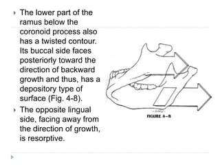 Mandibular remodelling | PPTX