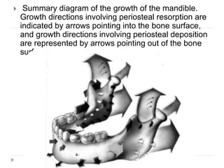 Mandibular remodelling | PPTX