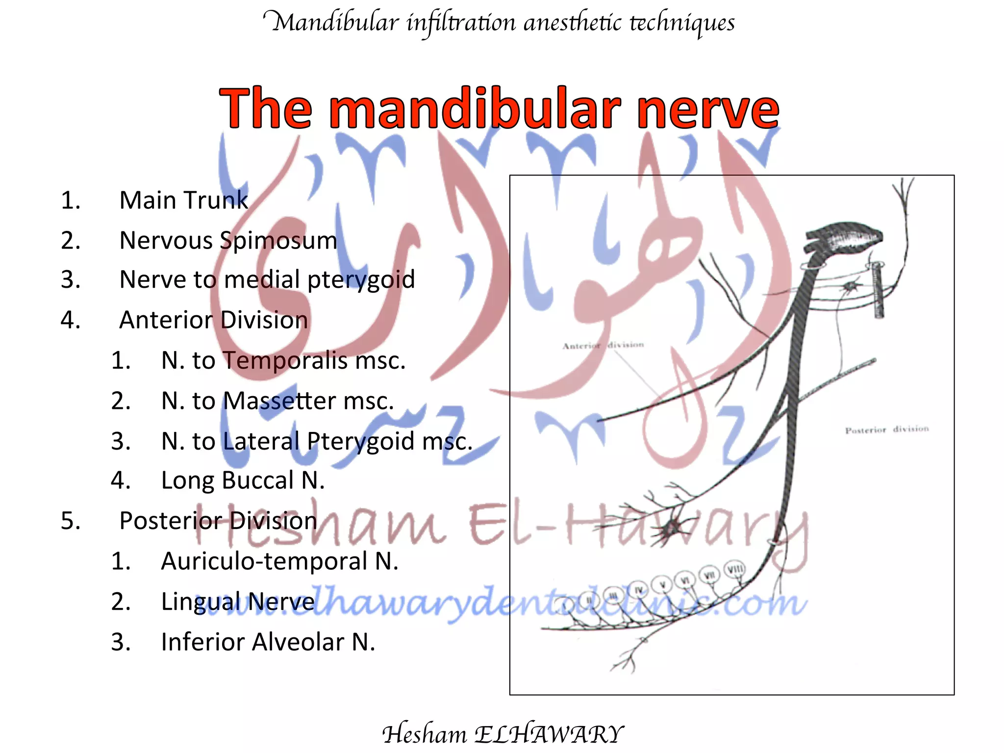Mandibular teeth infilteration techniques | PDF