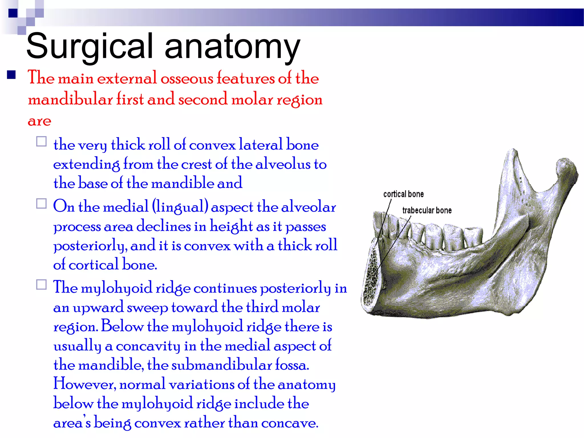 Mandibular third moalr impaction | PPT