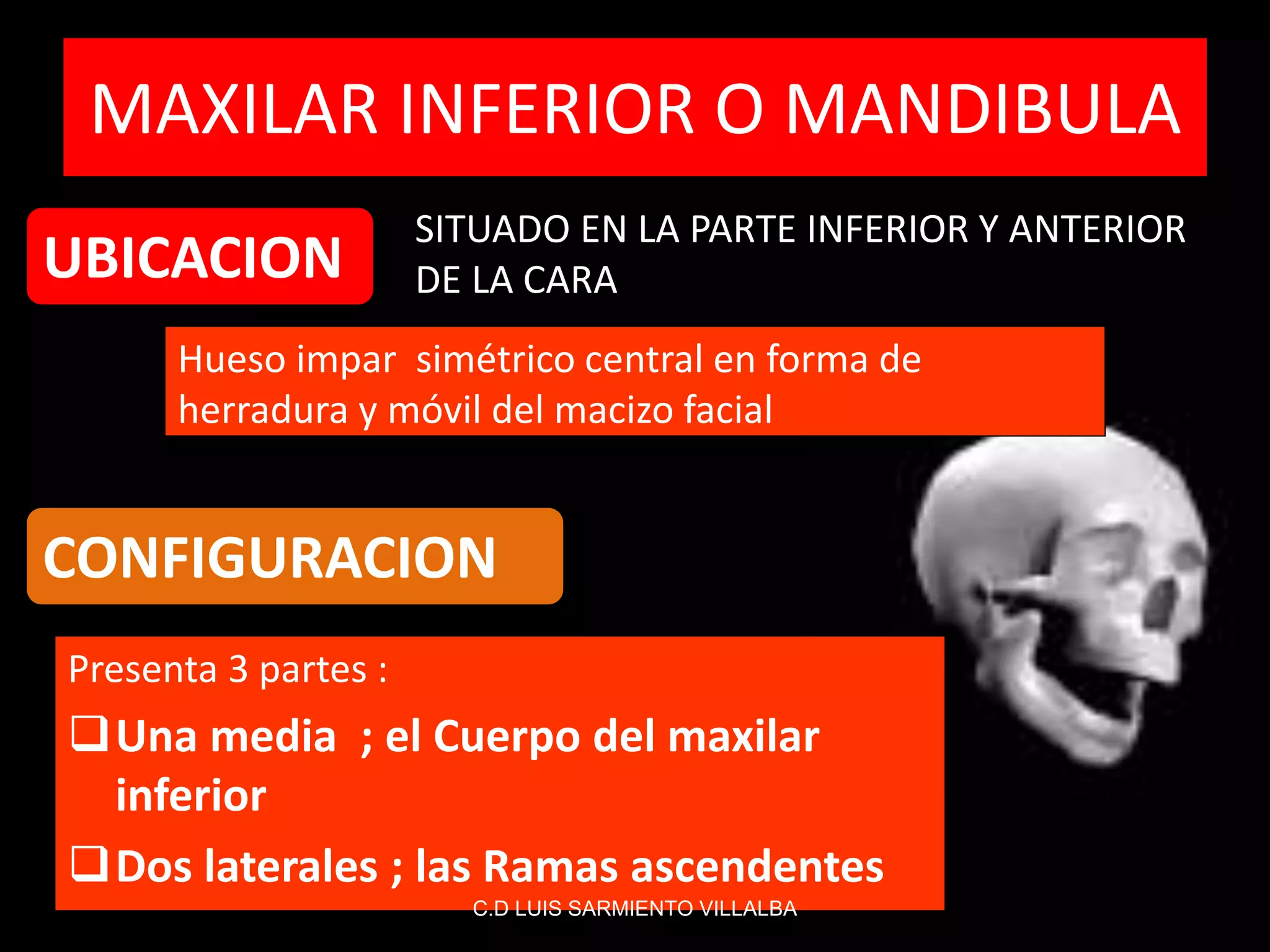 HUESO MAXILAR INFERIOR | PPTX
