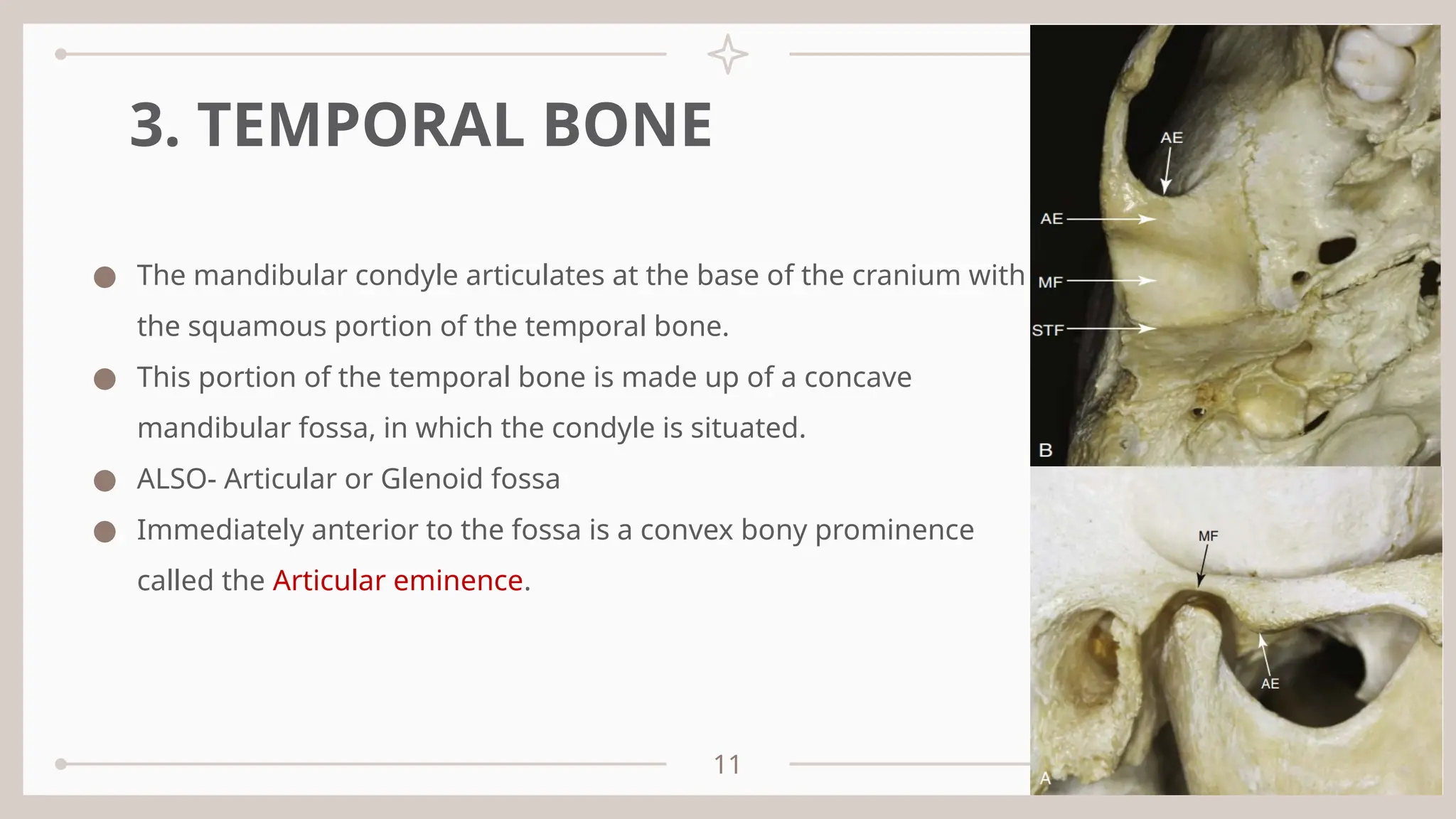 Mandibular movements and the envelope of motion | PPTX