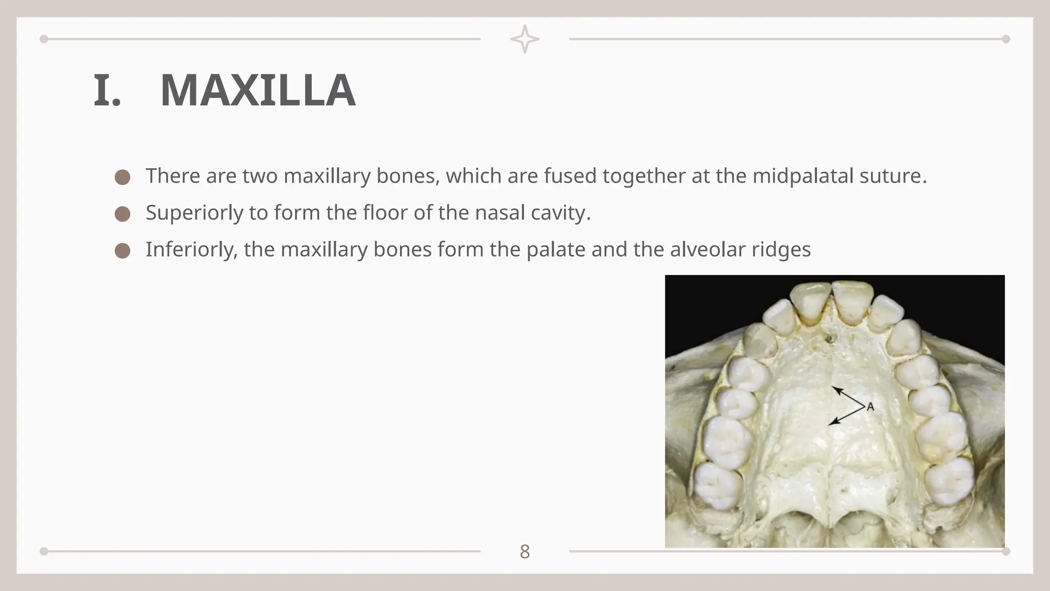 Mandibular movements and the envelope of motion | PPTX