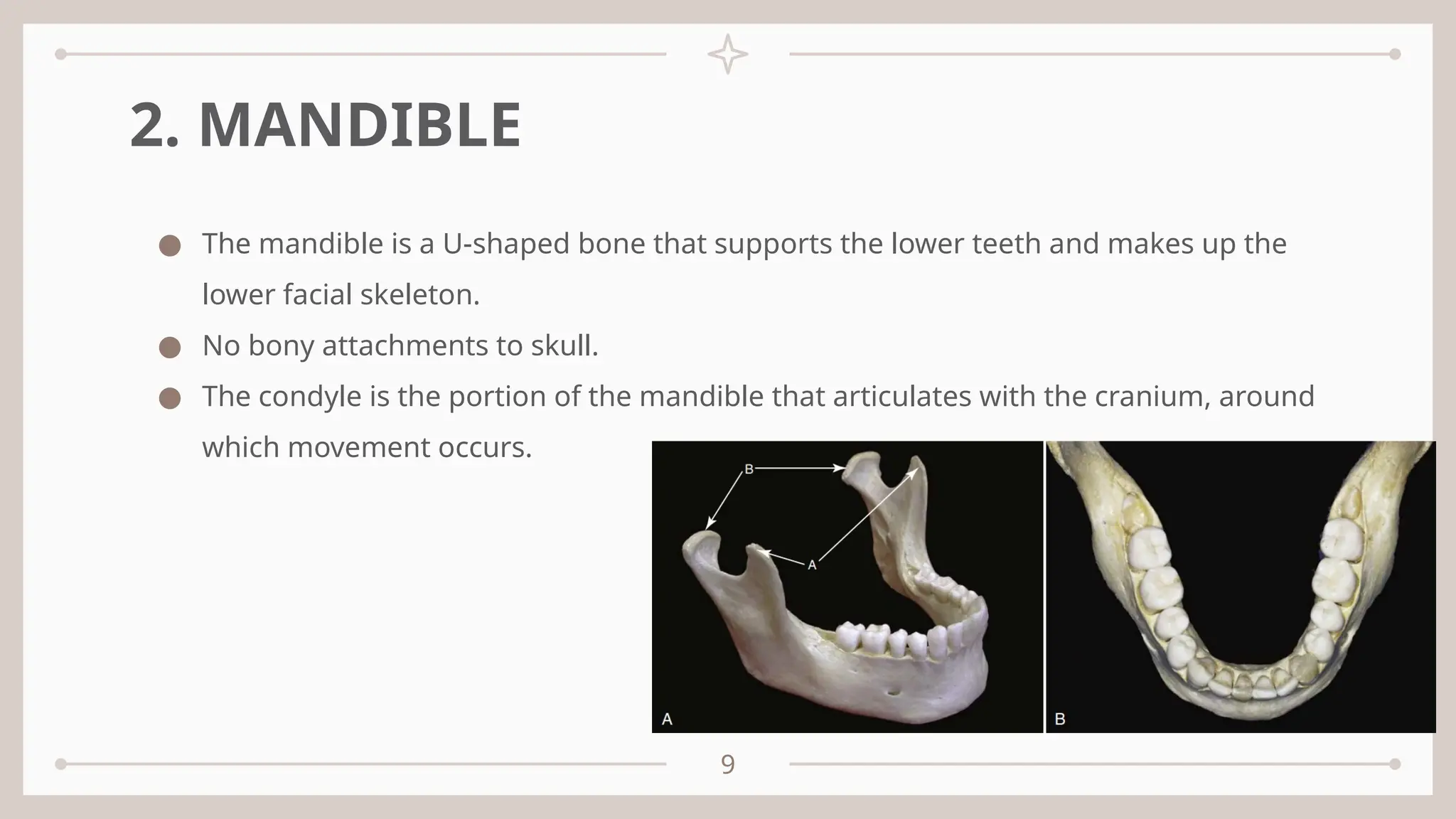Mandibular movements and the envelope of motion | PPTX