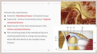 Mandibular movements and the envelope of motion | PPTX