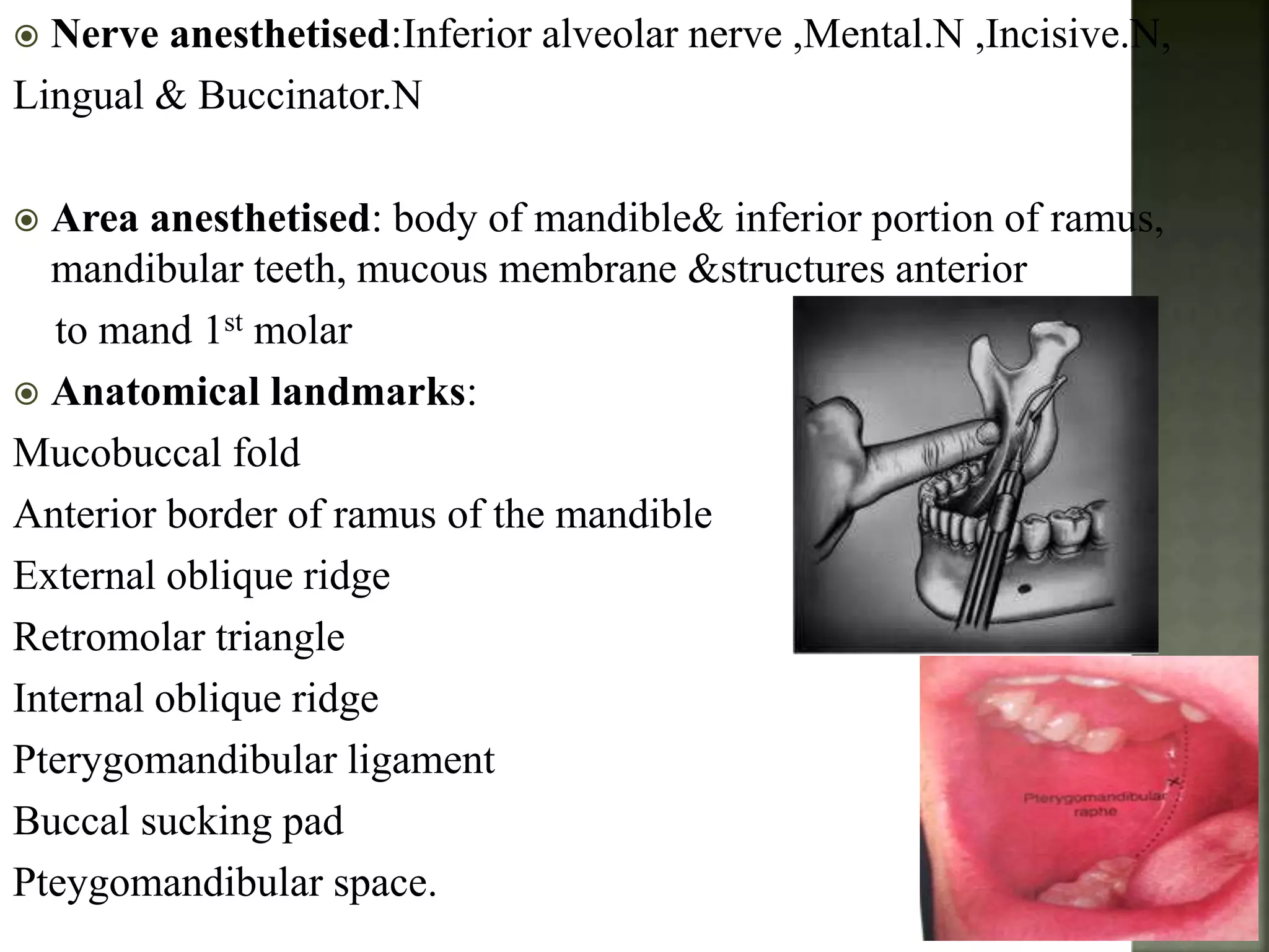 Mandibular nerve blocks techniques | PPTX