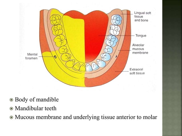 Mandibular nerve blocks techniques | PPTX | Ear, Nose and Throat ...