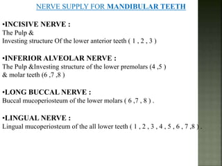 Lower Anterior Teeth Nerve Supply