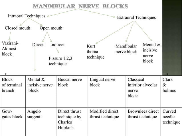 Mandibular nerve blocks techniques | PPTX | Ear, Nose and Throat ...